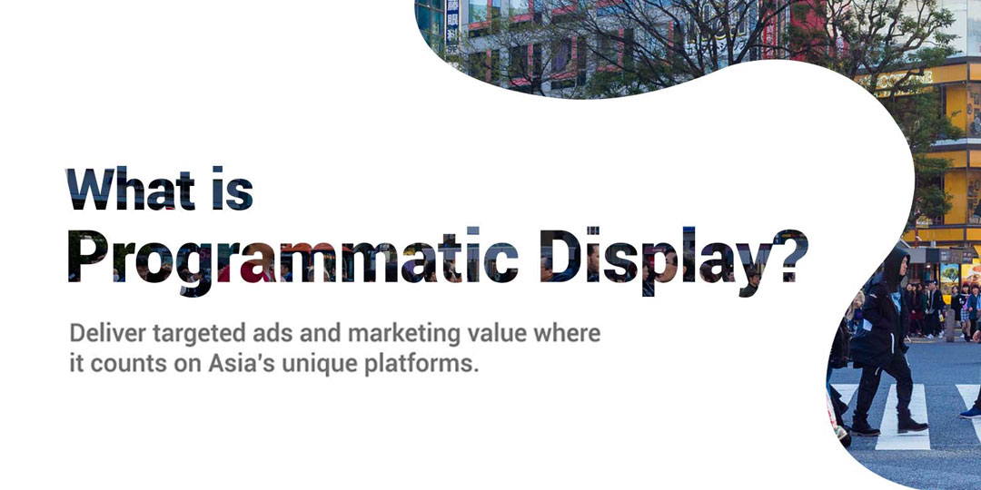 Programmatic Display Services in China | The Egg | China Banner Ad Agency